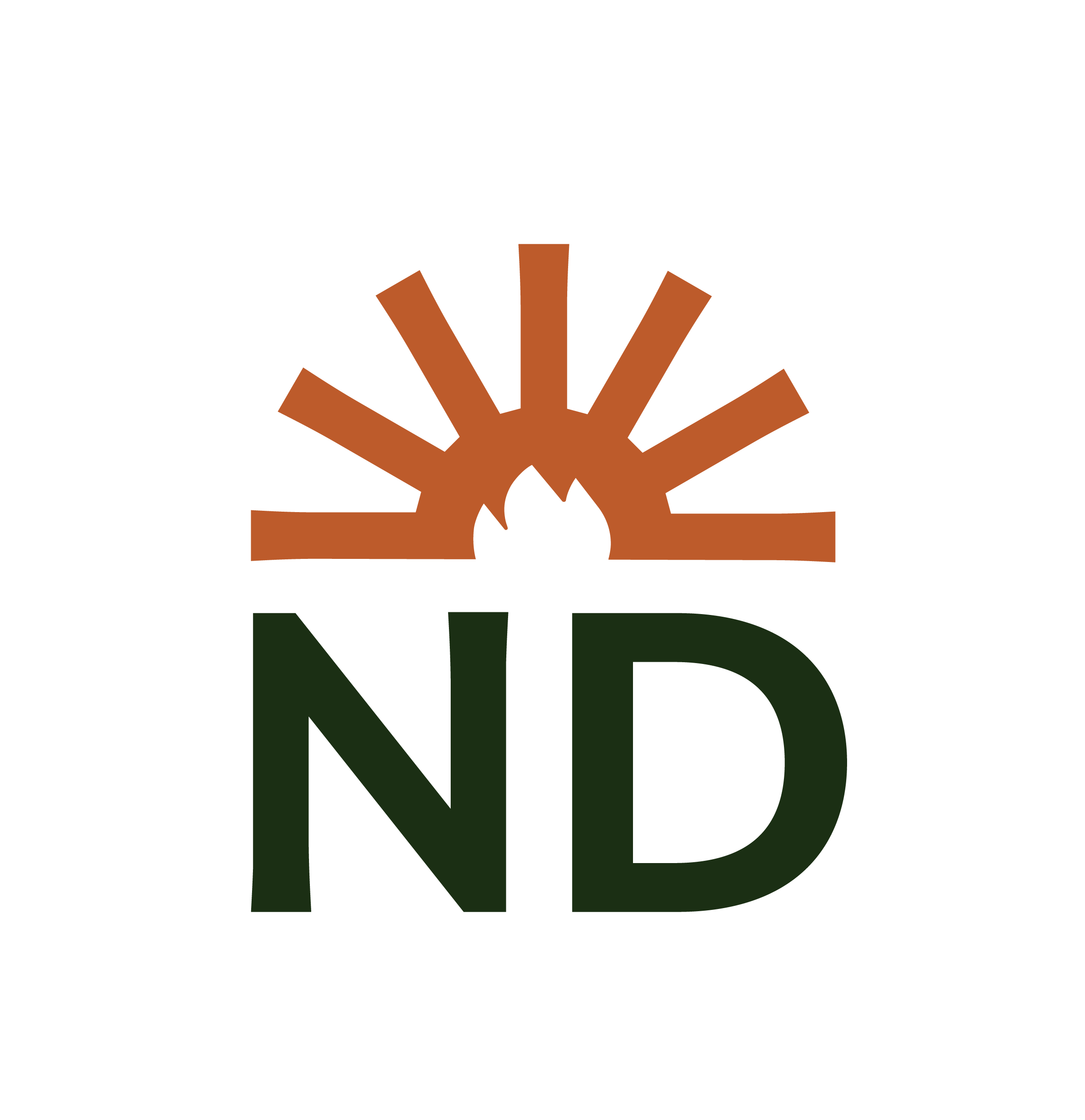 Welcome to ND RISE | North Dakota Education Standards and Practices Board