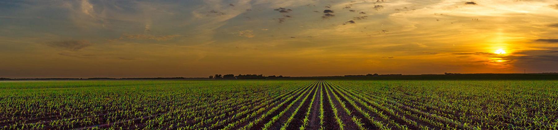 Fun Facts | North Dakota State Government - ND Portal