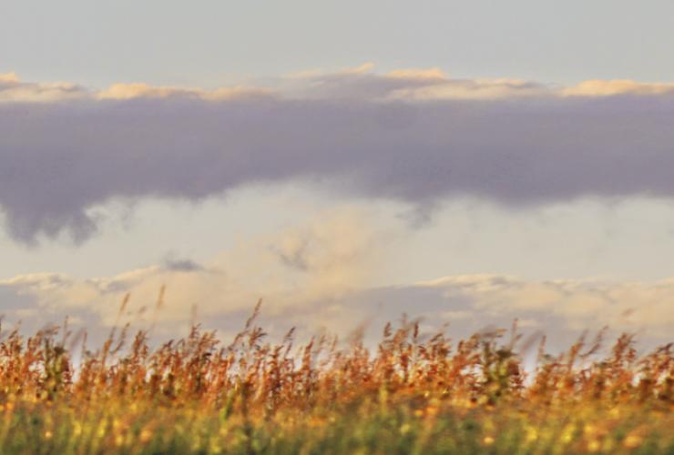 Energy & Natural Resources | North Dakota State Government - ND Portal