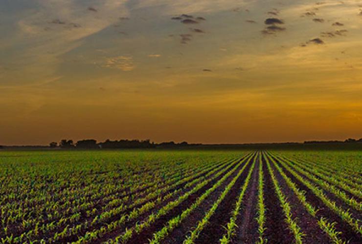 Fun Facts | North Dakota State Government - ND Portal